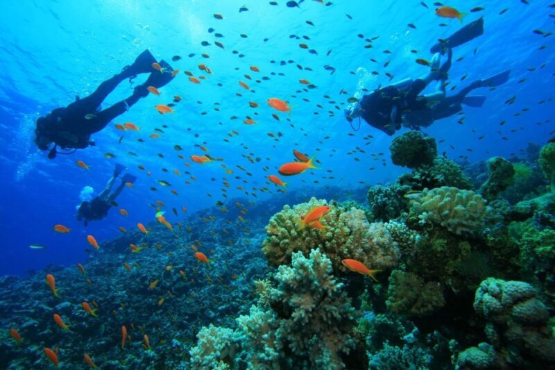 Kefalonia: Beginner Scuba Diving at Agia Efimia Village - Authentic Experiences from Previous Participants