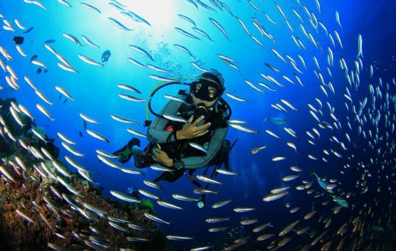 Kefalonia: Beginner Scuba Diving at Agia Efimia Village - Who Will Love This Experience?