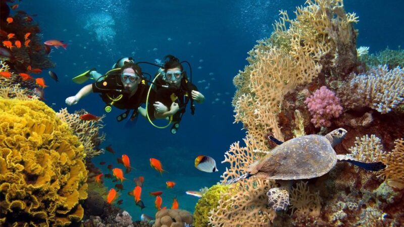 Kefalonia: Beginner Scuba Diving at Agia Efimia Village - Who Might Want to Skip It?