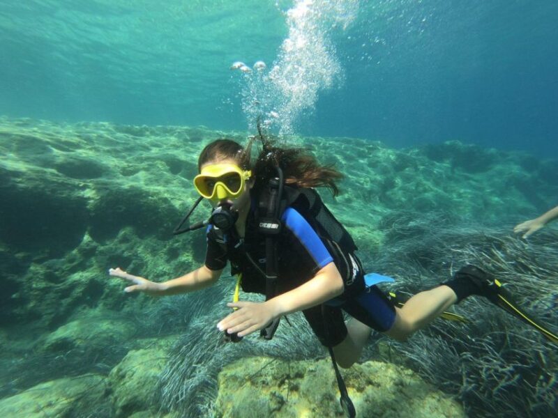 Kefalonia: Beginner Scuba Diving at Agia Efimia Village - Final Thoughts on Value and Suitability