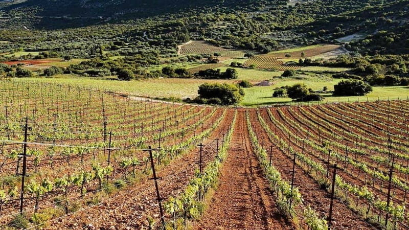Kefalonia: Culinary and Cultural Guided Tour - Why This Tour Might Be Perfect for You