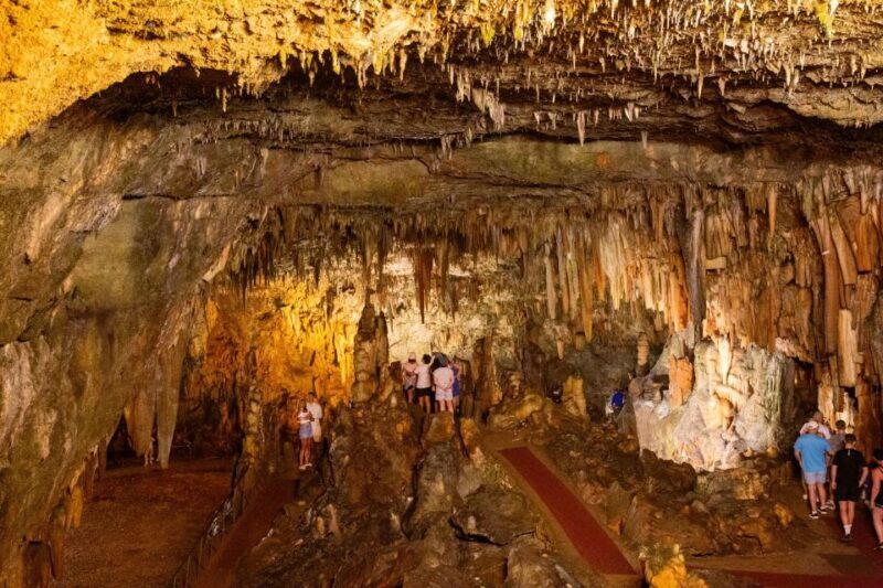 Kefalonia: Half-Day Lake Melissani and Drogarati Cave Tour - A Detailed Look at the Kefalonia Half-Day Tour