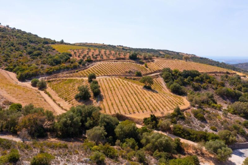 Kefalonia Highlights Robola Winery, Melissani & Fiscardo - FAQ