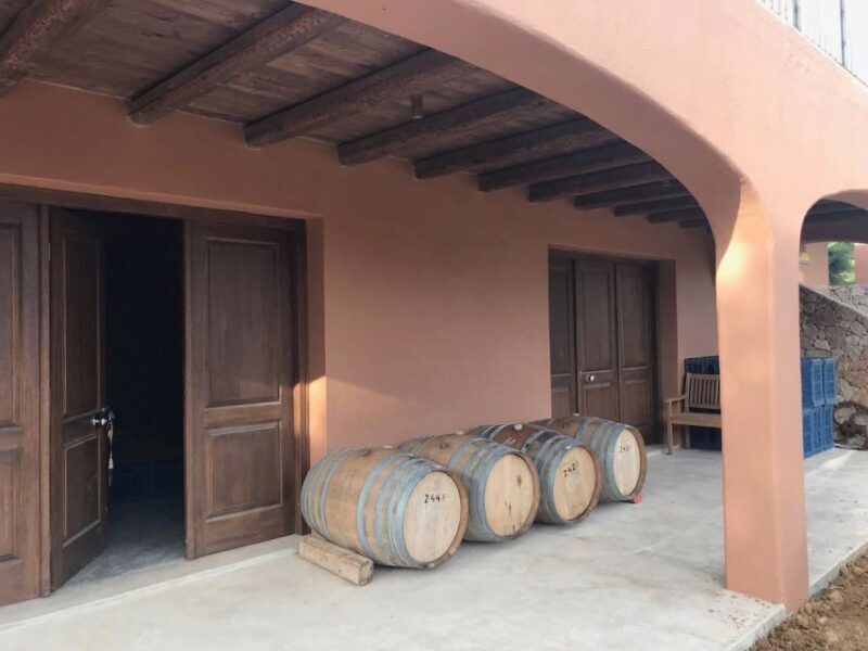 Kefalonia: Private Wine Tasting with Vineyard Tour - Authenticity and Cultural Touchpoints