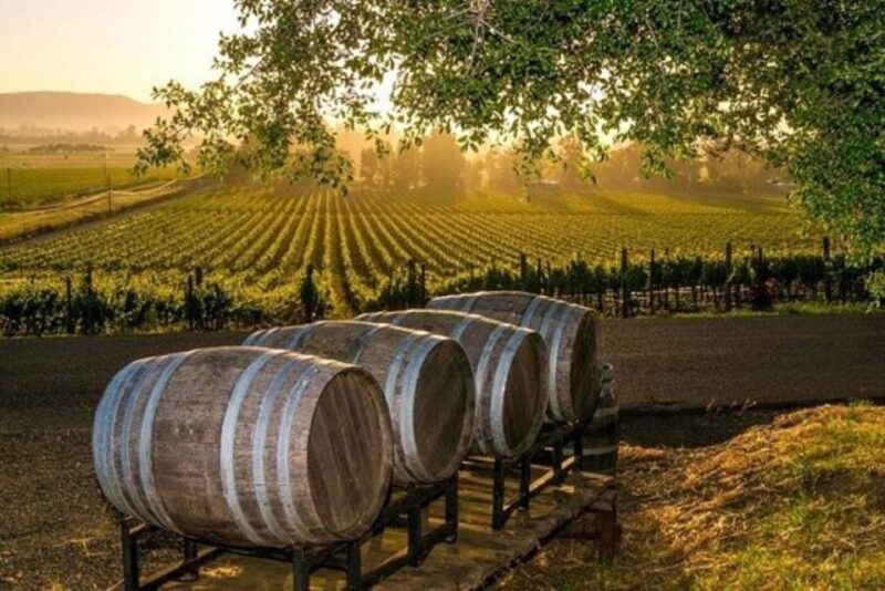 Kefalonia: Private Wine Tasting with Vineyard Tour - Who Will Love This Tour