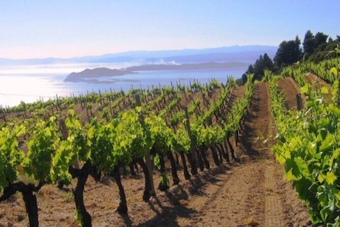 Kefalonia Private Wine Tour - Why Travelers Love This Tour