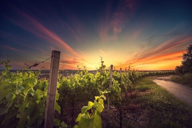 Kefalonia Private Wine Tour - Practical Considerations
