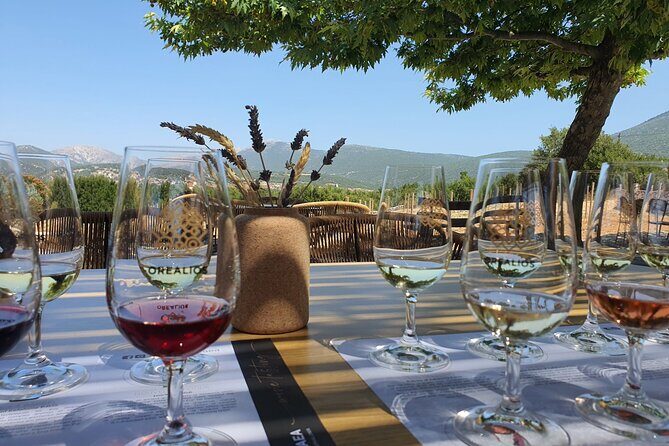 Kefalonia Private Wine Tour - Who Is This Tour Best For?