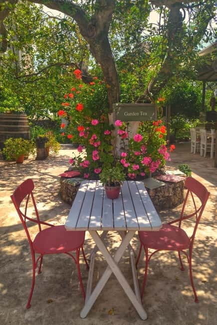 Kefalonia Tastes: Stroll Argostoli, Wine & Olive oil tasting - Savoring Kefalonia’s Wines in the Omala Valley