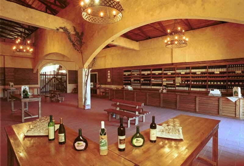 KEFALONIA: WINE TASTING TOUR - An In-Depth Look at the Kefalonia Wine Tasting Tour