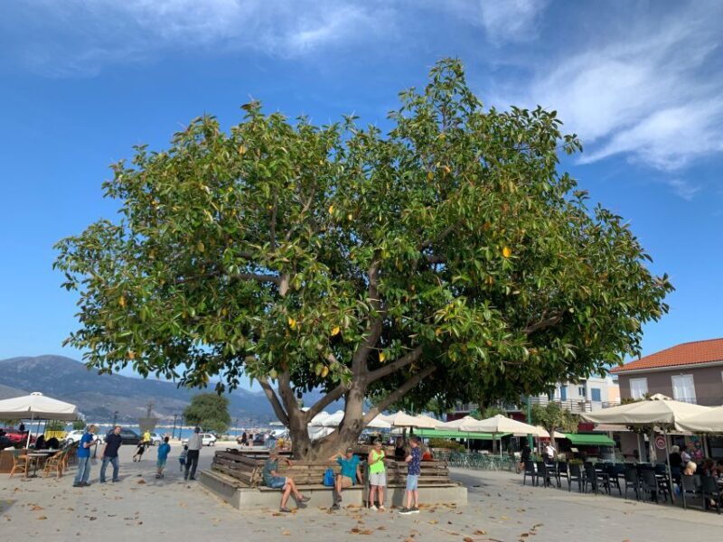 Kefalonia Wine Tour on E-Bikes - Authentic Touches and Review Highlights