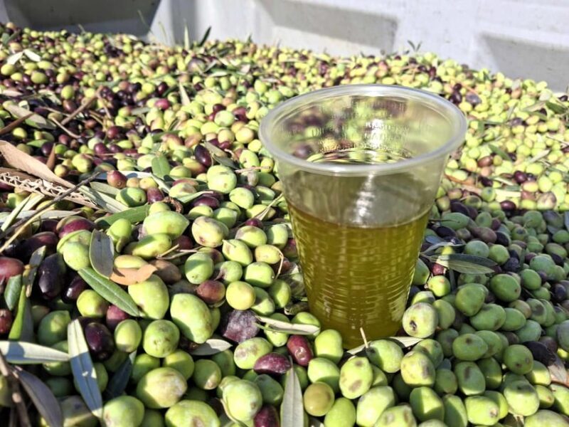 Kefalonia:Private Olive Oil, Honey & Wine Tasting Experience - Key Points