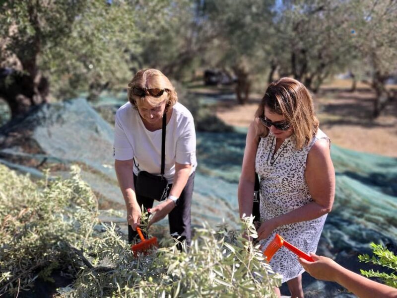 Kefalonia:Private Olive Oil, Honey & Wine Tasting Experience - Final Thoughts