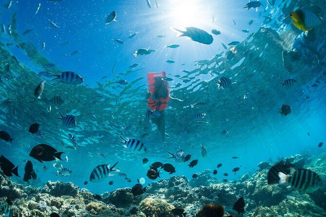 Keishi Tour Half Day Shared Excursion - Is This Tour Right for You?