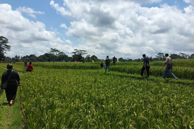 Keliki Village Tour And Rice Field Walk Including Lunch Or Dinner - Exploring Bali’s Hidden Beauty: Keliki Village Tour and Rice Field Walk