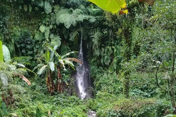 Keliki Village Tour And Rice Field Walk Including Lunch Or Dinner - What Sets This Tour Apart?