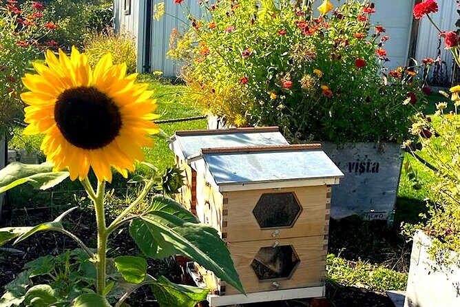 Kelowna E-Bike Bee Tour, Tastings, Organic Lunch & Audio Guide - Learning About Bees