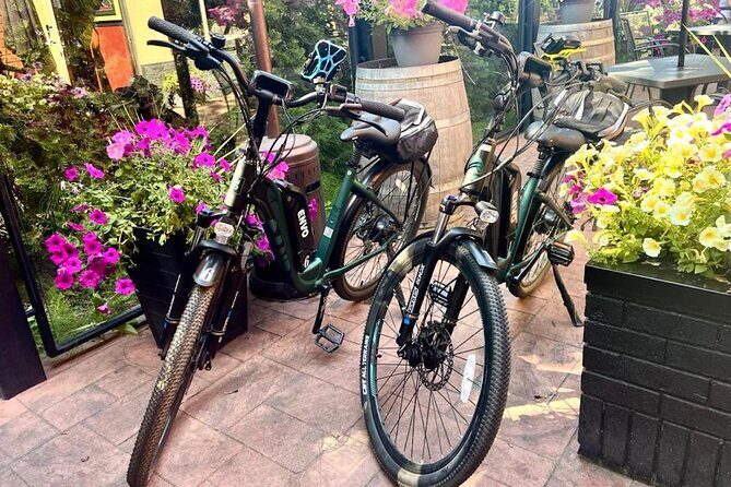 Kelowna E-Bike Bee Tour, Tastings, Organic Lunch & Audio Guide - Farm-to-Table Lunch