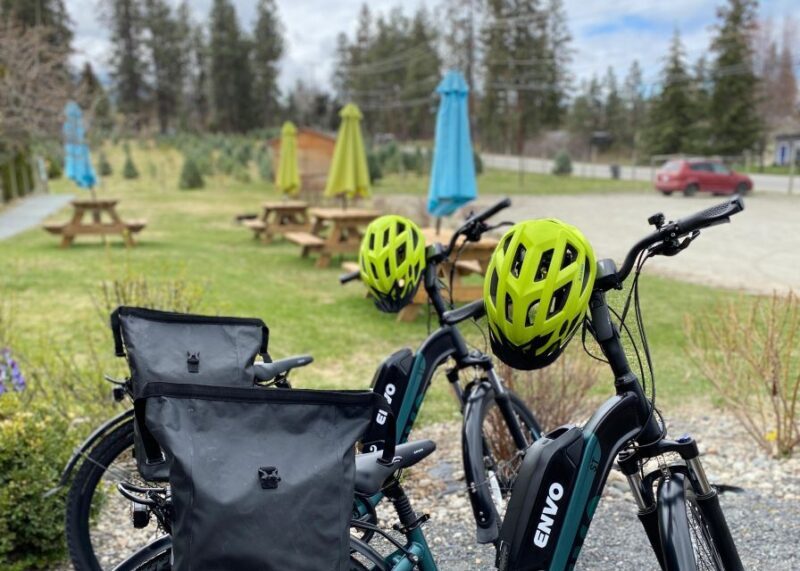 Kelowna: E-Bike Bee Tour w/ Tastings, Lunch, and Audioguide - FAQs