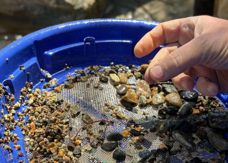 Kelowna E-Bike Gold Panning Expedition - Authentic Experiences and Why They Matter