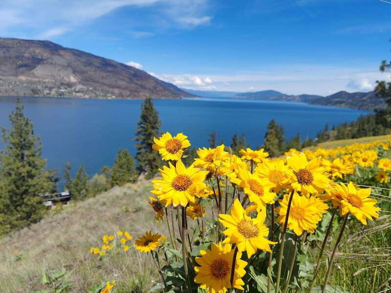 Kelowna: E-Bike Rental with In-App Navigation Guide - The Quality and Value of the E-Bikes