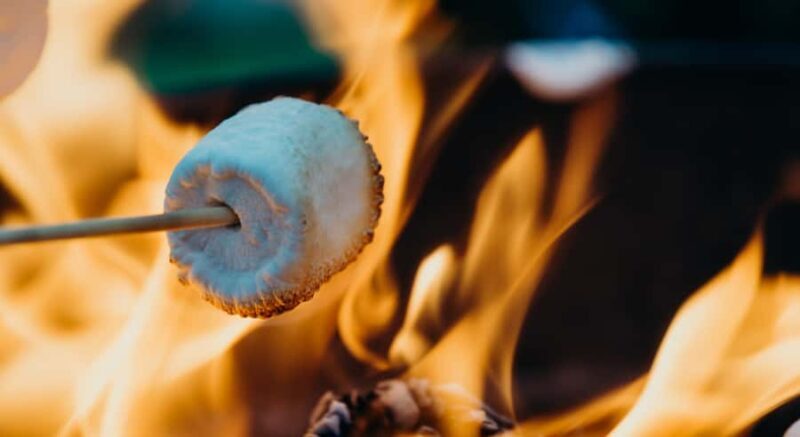 Kelowna Fireside Warm-Up: Wine Tasting, Smores & Mulled Wine - Key Points