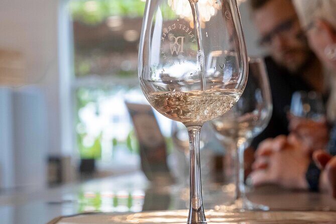Kelowna Guided E-Bike Wine Tour with Tastings and Okanagan Lunch - Guides and Service