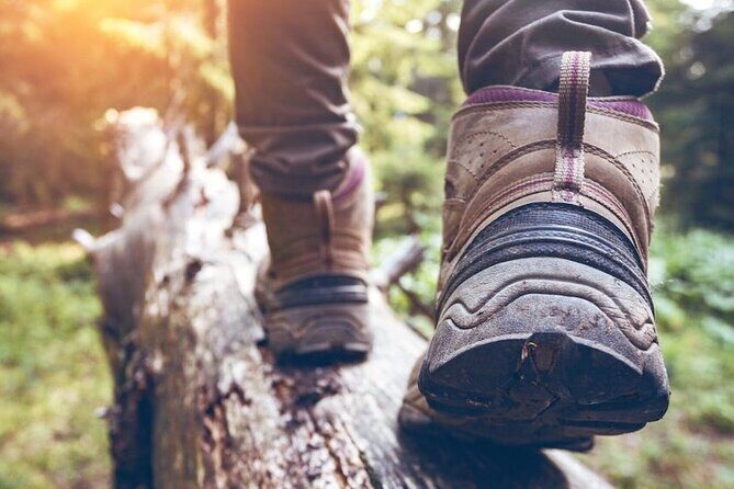 Kelowna Guided Hiking Experience - A Practical Guide to the Kelowna Guided Hiking Experience