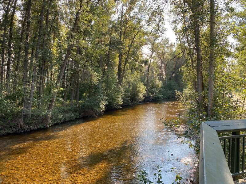 Kelowna: Mission Creek Salmon Run Audio Tour by E-Bike - The Route: Scenic, Educational, and Conscientious