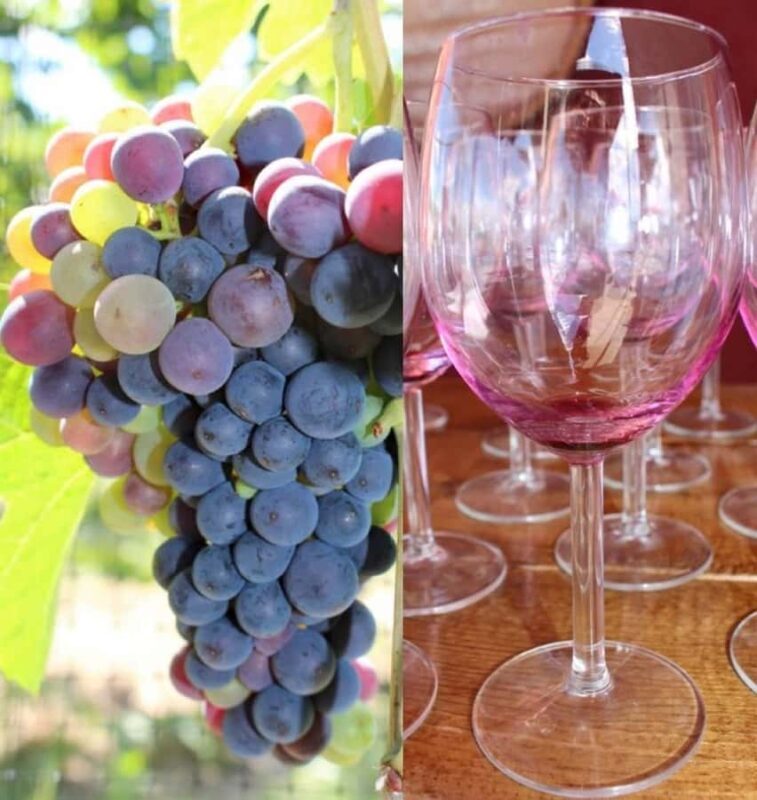 Kelowna: Myra Canyon Bike & Wine Tasting Full Day Tour - Final Thoughts on the Experience