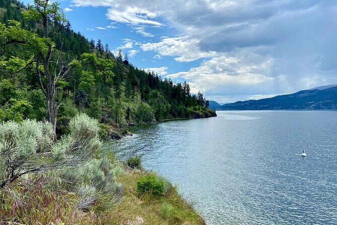 Kelowna: Okanagan Lake Views Guided E-Bike Tour with Picnic - Discovering Kelownas Scenic Highlights on Two Wheels