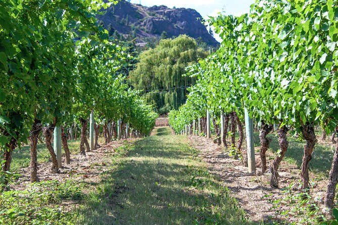 Kelowna or West Kelowna Afternoon Sightseeing Wine Tour - The Final Stops in Kelowna: Variety & Views