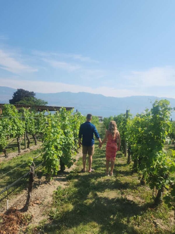 Kelowna: Private Or Public West Kelowna Wine Tours - Key Points