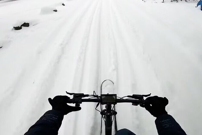 Kelowna Snow E-Biking Adventure with Lunch, Wine Tasting & S'mores - Key Points