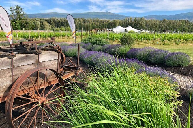Kelowna Wine Tour by E-bike, Okanagan Valley Views and Lunch - Key Points