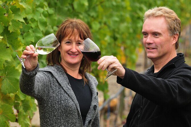Kelowna Wine Tour by E-bike, Okanagan Valley Views and Lunch - An In-Depth Look at the Tour Experience