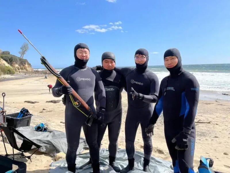 Kelp Forest Spearfishing Adventure - The Value of Included Equipment and Facilities