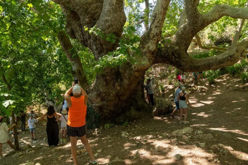 Kemer: Blue & Green Boat Trip and Jeep Safari with Lunch - Practical Tips for Travelers
