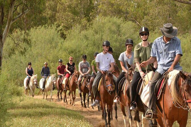 Kemer Horse Safari Experience With Free Hotel Transfer - Conclusions: Why the Kemer Horse Safari is a Solid Choice