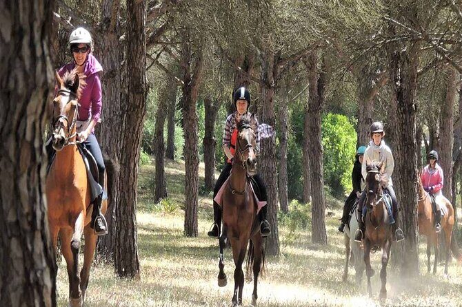 Kemer Horse Safari Experience With Free Hotel Transfer - FAQ