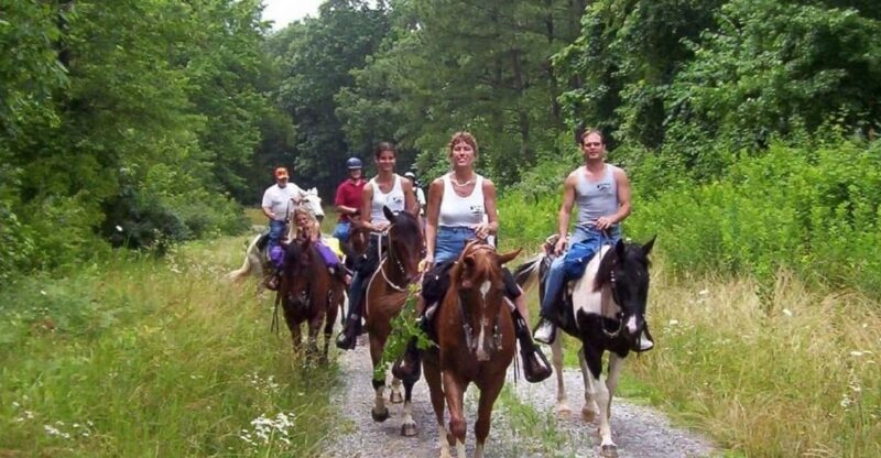 Kemer Horse Safari, pick up from Kiris, Beldibi, Goynuk - Final Thoughts: Who Should Consider Kemer Horse Safari?