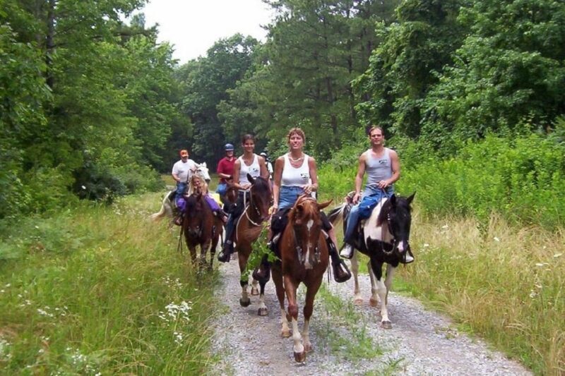 Kemer Horse Safari, pick up from Kiris, Beldibi, Goynuk - FAQ: Your Questions Answered