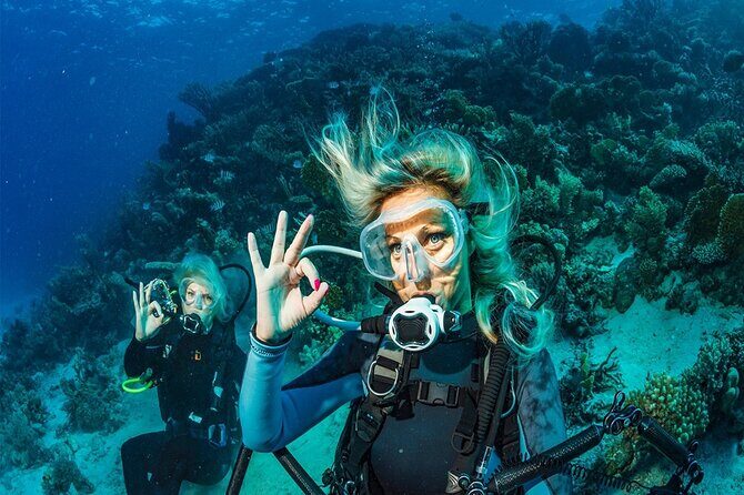 Kemer Scuba Diving Experience: Two Dives with Lunch - What Makes the Experience Special?