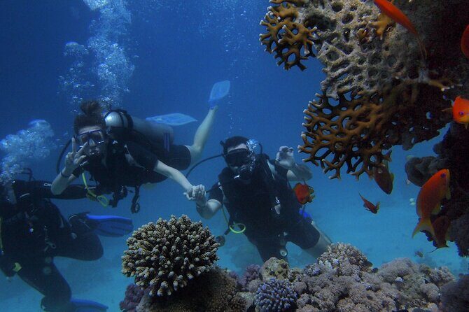 Kemer Scuba Diving Experience: Two Dives with Lunch - Who Should Consider This Tour