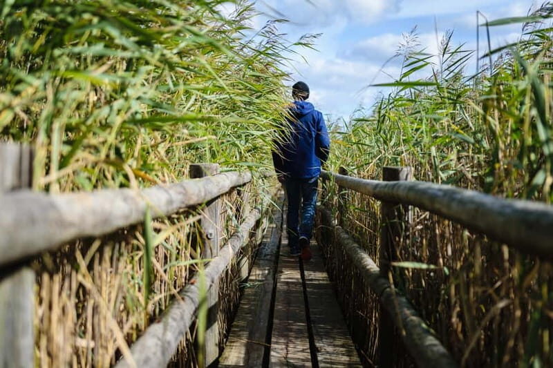 Kemeri National Park & Baltic Seaside Tour Bog Boardwalk - An In-Depth Look: What to Expect