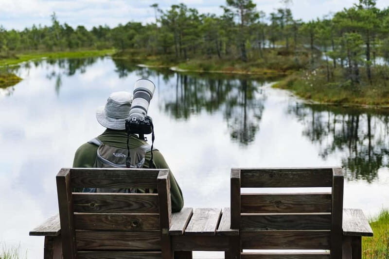 Kemeri National Park & Baltic Seaside Tour Bog Boardwalk - Who Will Love This Tour?