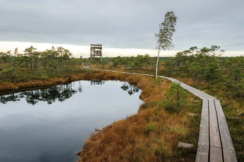 Kemeri National Park & Baltic Seaside Tour Bog Boardwalk - FAQ