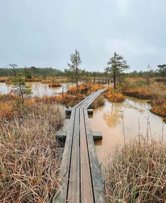 Kemeri National Park Guided Tour - In-Depth Look at the Kemeri National Park Guided Tour