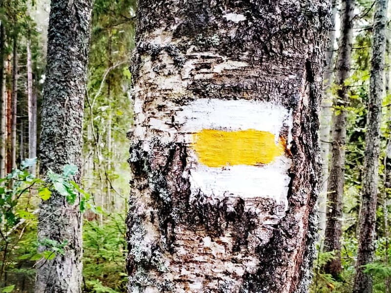 Kemeri National park Hiking trail (16 km) - An Introduction to Kemeri National Park and Its Allure
