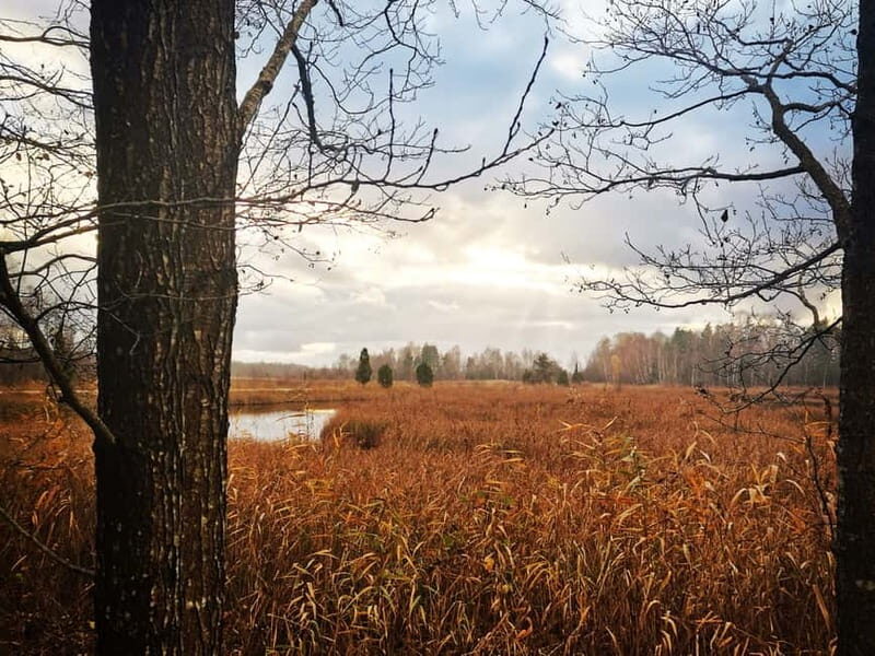 Kemeri National Park Outdoor Tour - Exploring Latvia’s Natural Wonders with the Kemeri National Park Tour